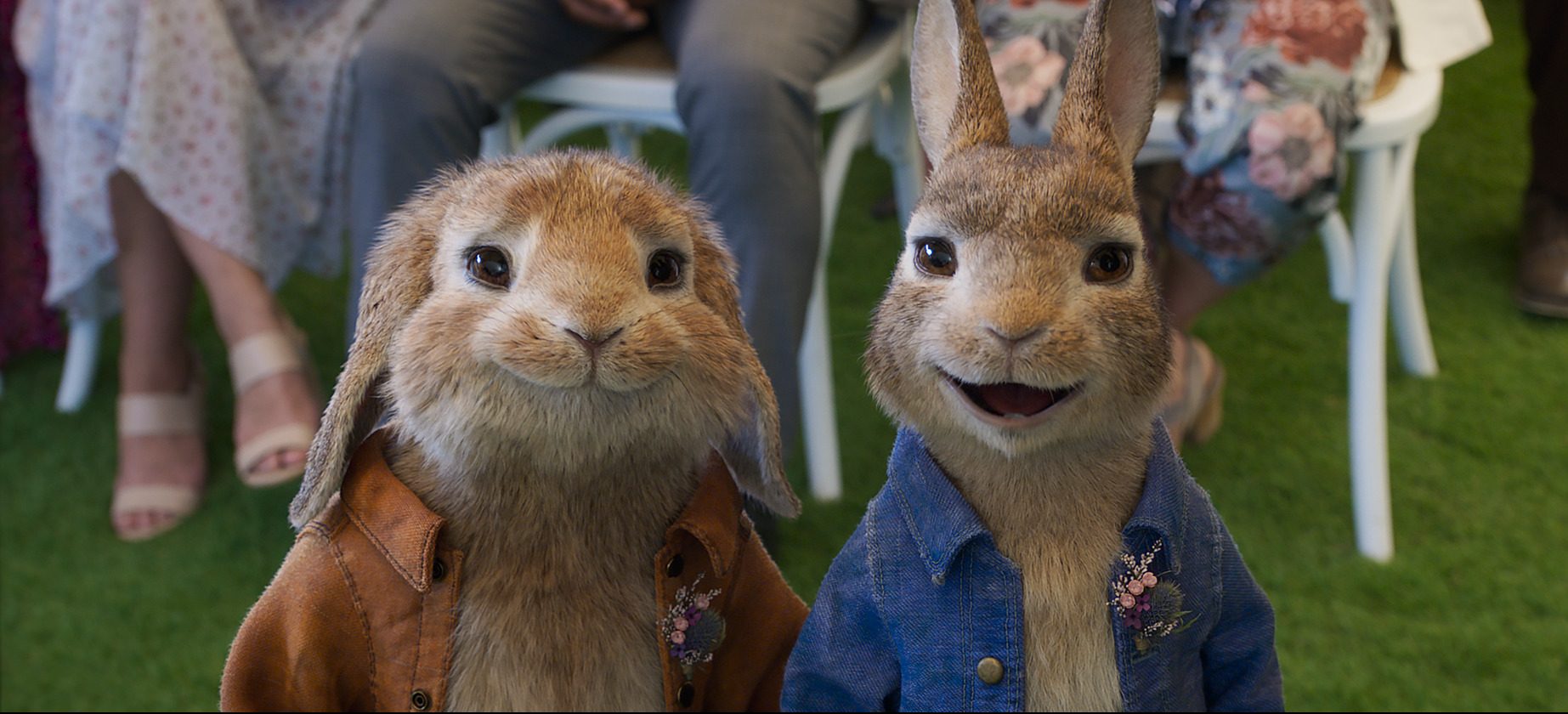 Stampede Studios – What would you like to create today?